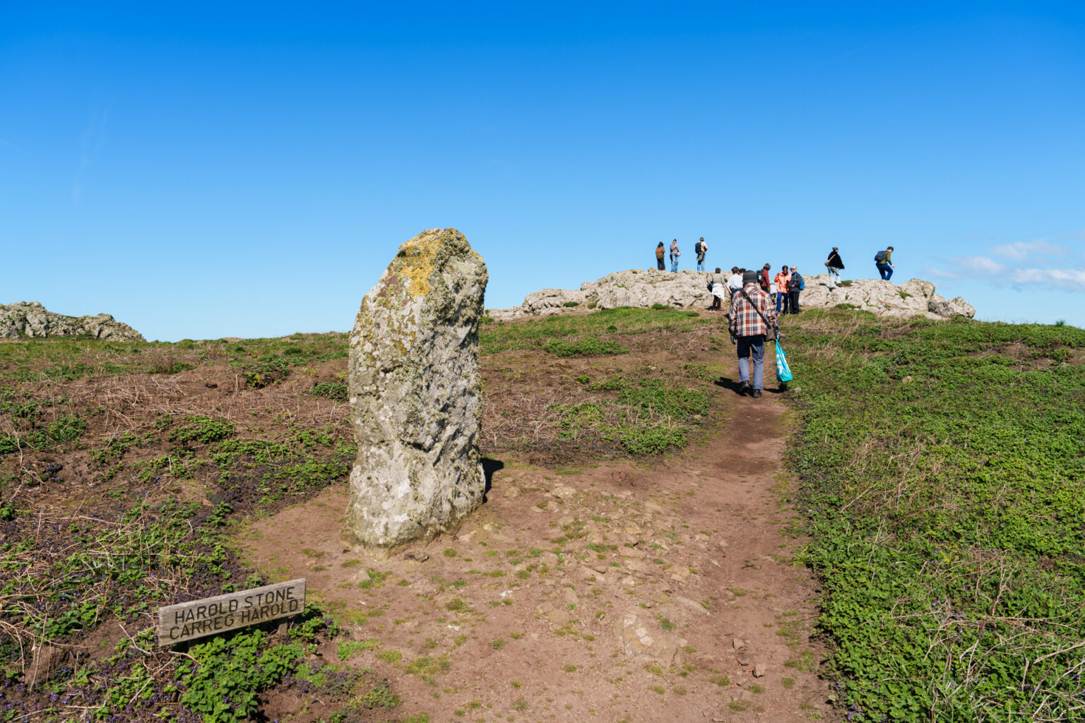 Skomer Island: A Day Trip To Watch The Puffins - We Travel Wales