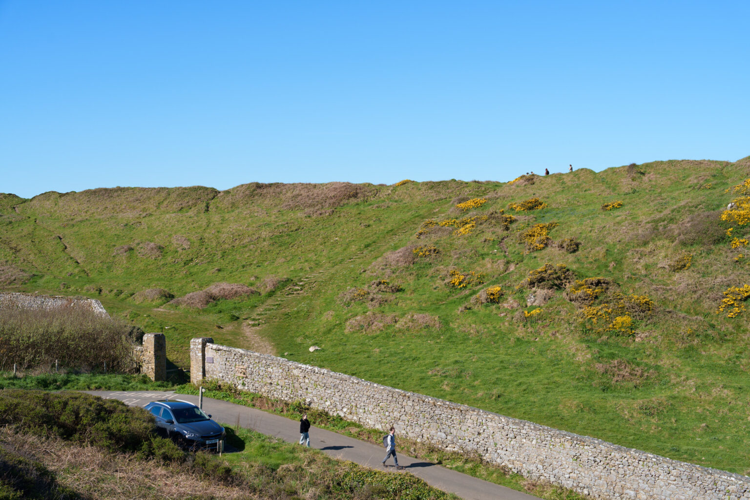 Skomer Island: A Day Trip To Watch The Puffins - We Travel Wales