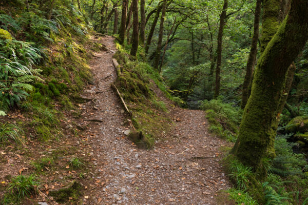 Nant Gwernol and The Hidden Waterfall - We Travel Wales
