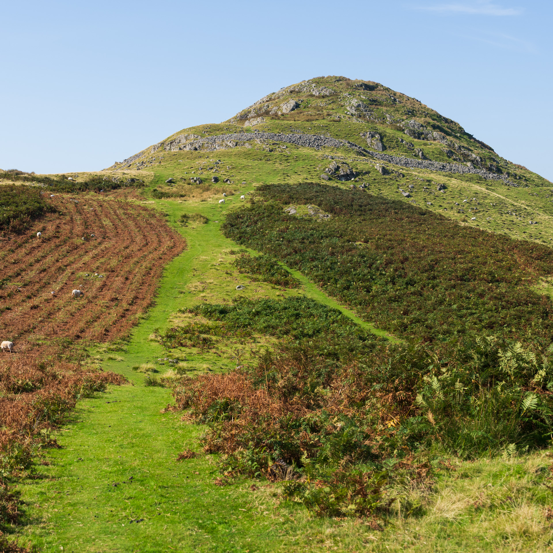 Craig Yr Aderyn (Bird Rock) and Castell Y Bere - We Travel Wales