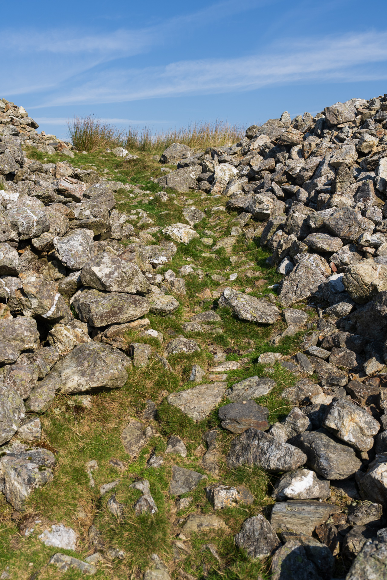 Craig Yr Aderyn (Bird Rock) and Castell Y Bere - We Travel Wales