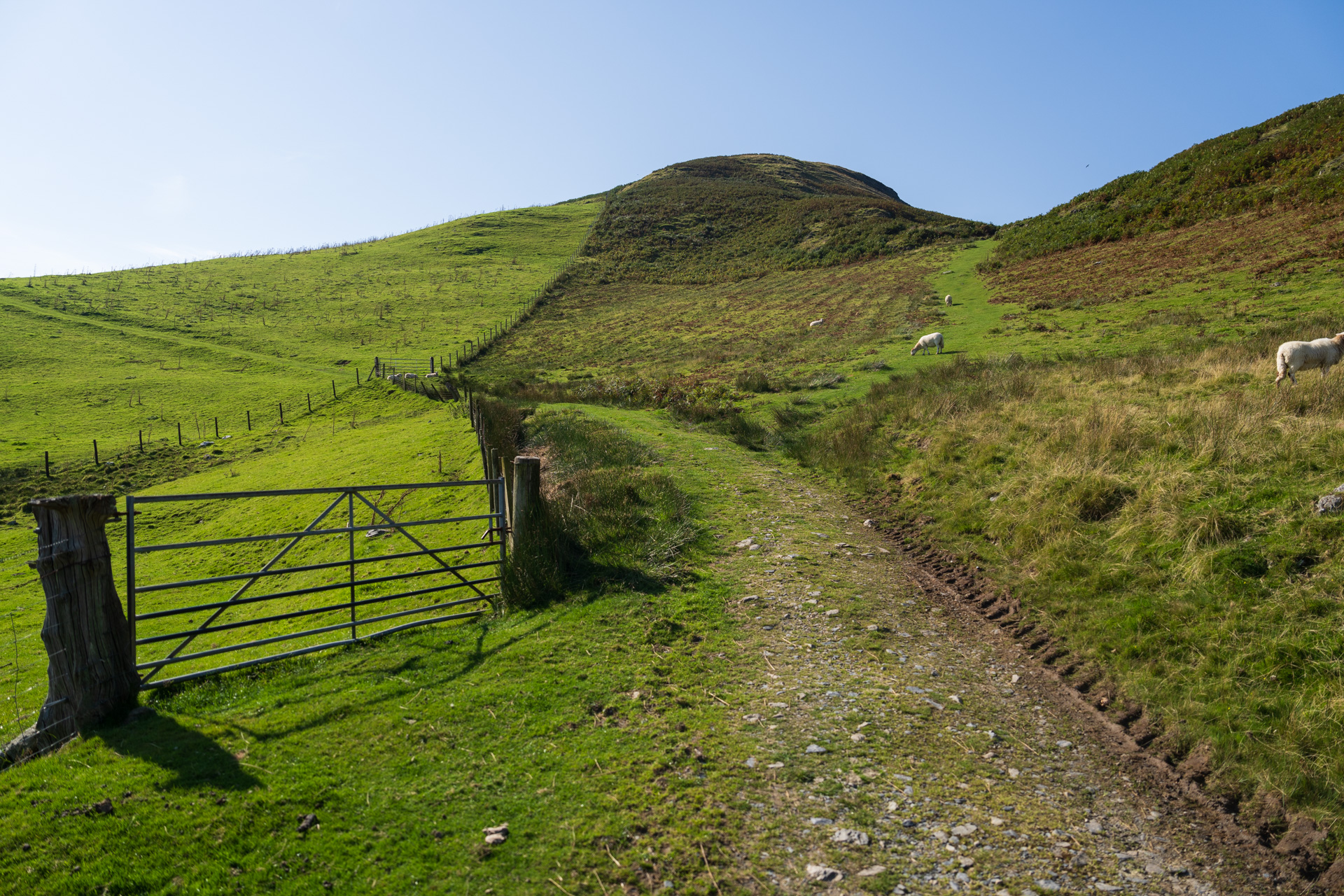 Craig Yr Aderyn (Bird Rock) and Castell Y Bere - We Travel Wales
