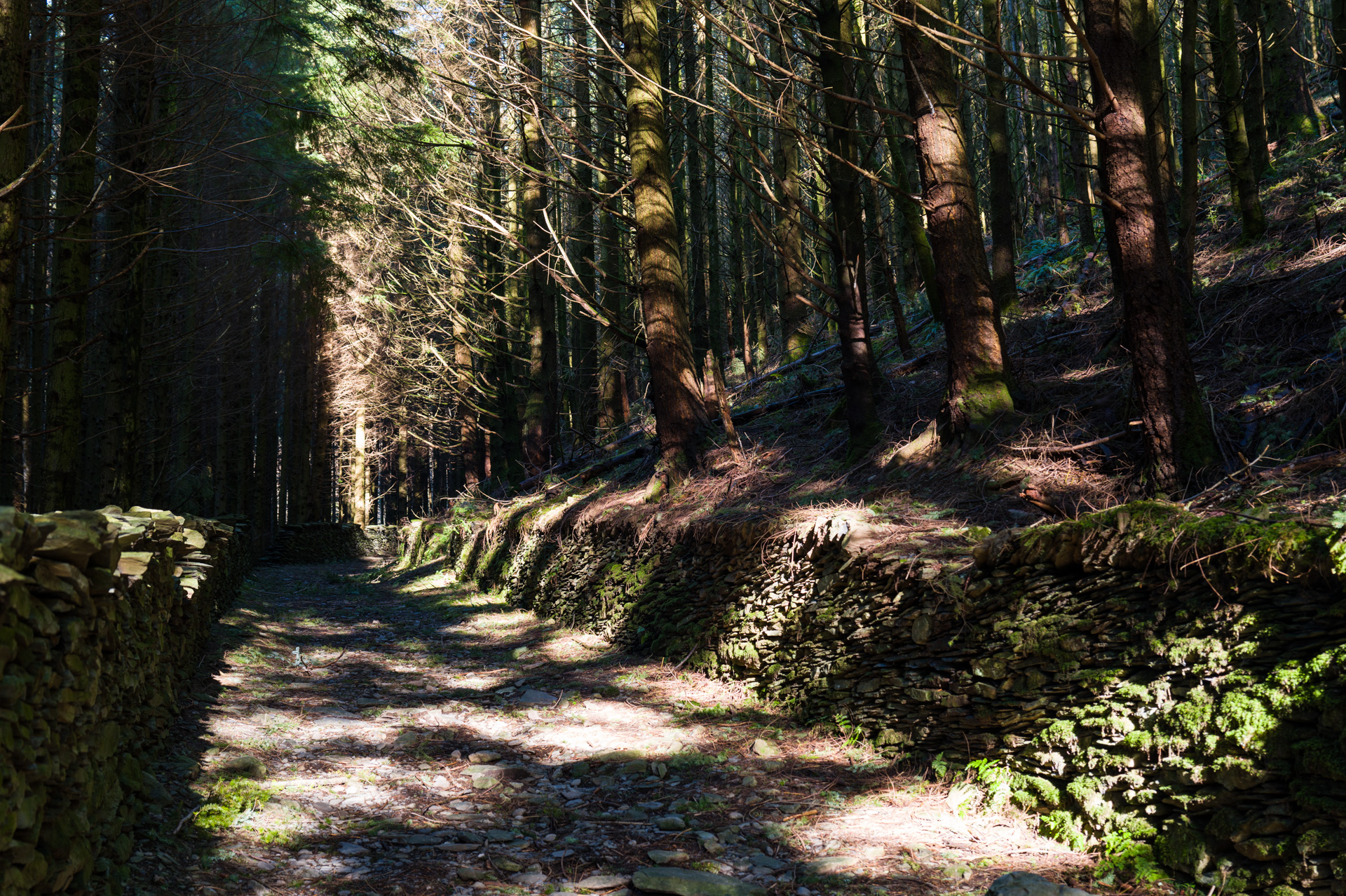 Old Quarry, Binocular Tunnel And Two Waterfalls - The Corris Village ...