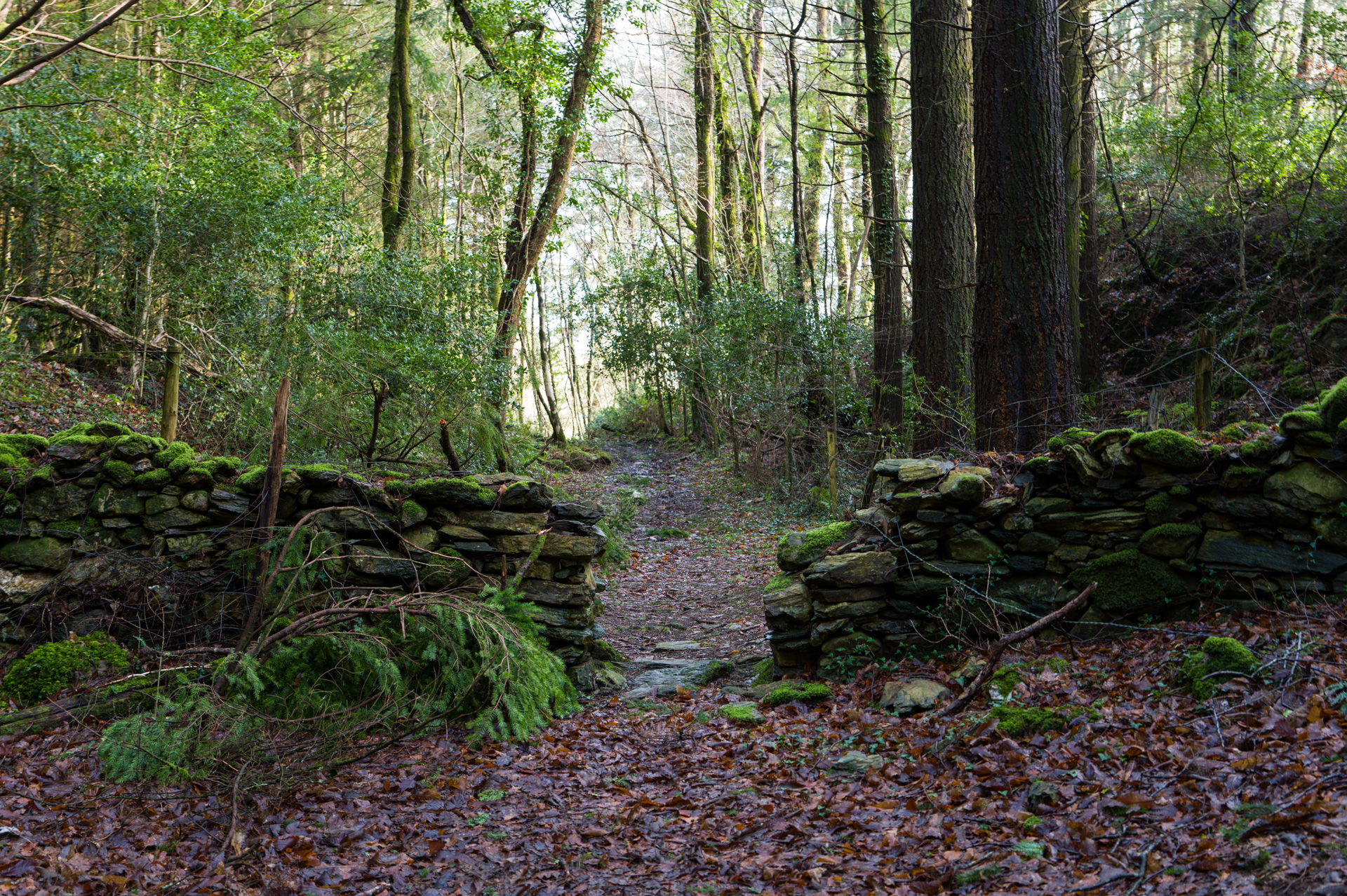Breathtaking Views of the Mawddach Estuary – The New Precipice Walk ...