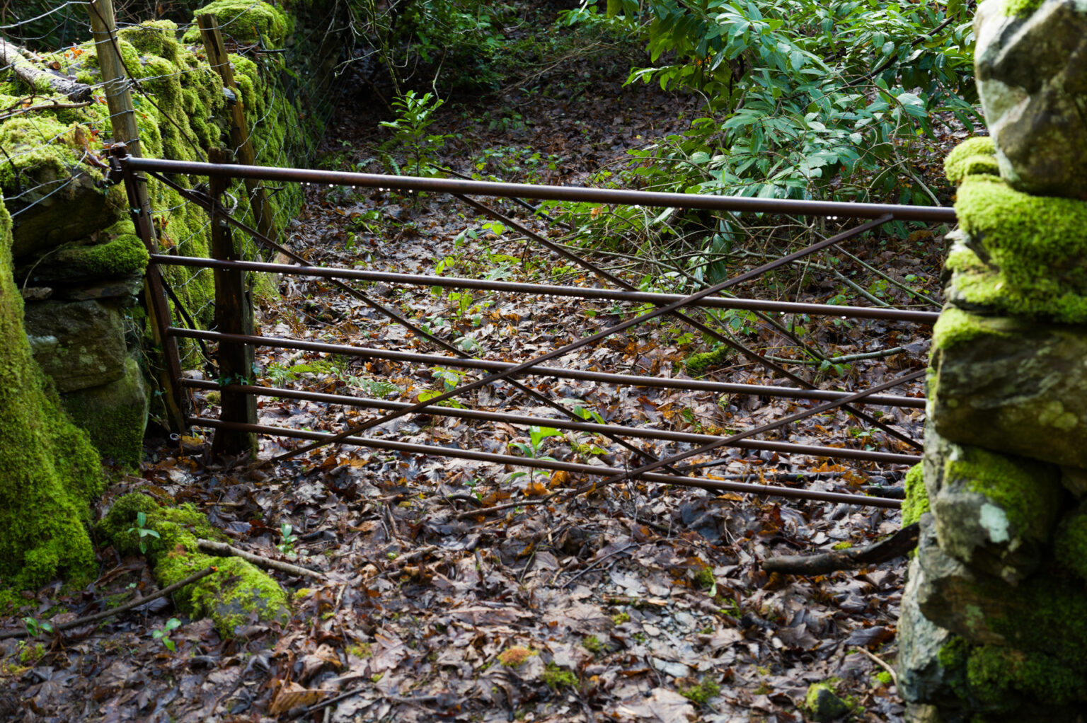 Breathtaking Views of the Mawddach Estuary – The New Precipice Walk ...