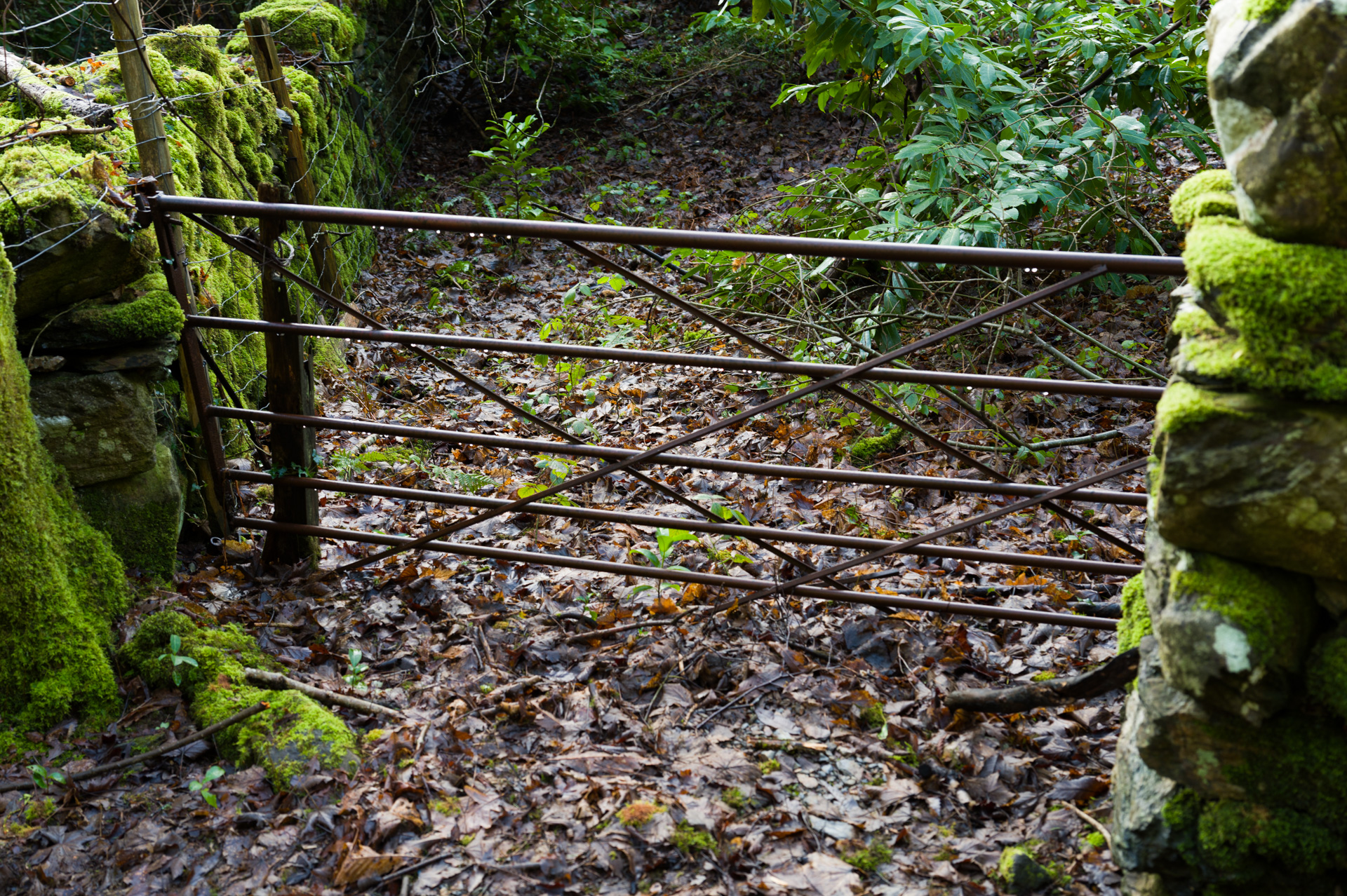 Breathtaking Views of the Mawddach Estuary – The New Precipice Walk ...