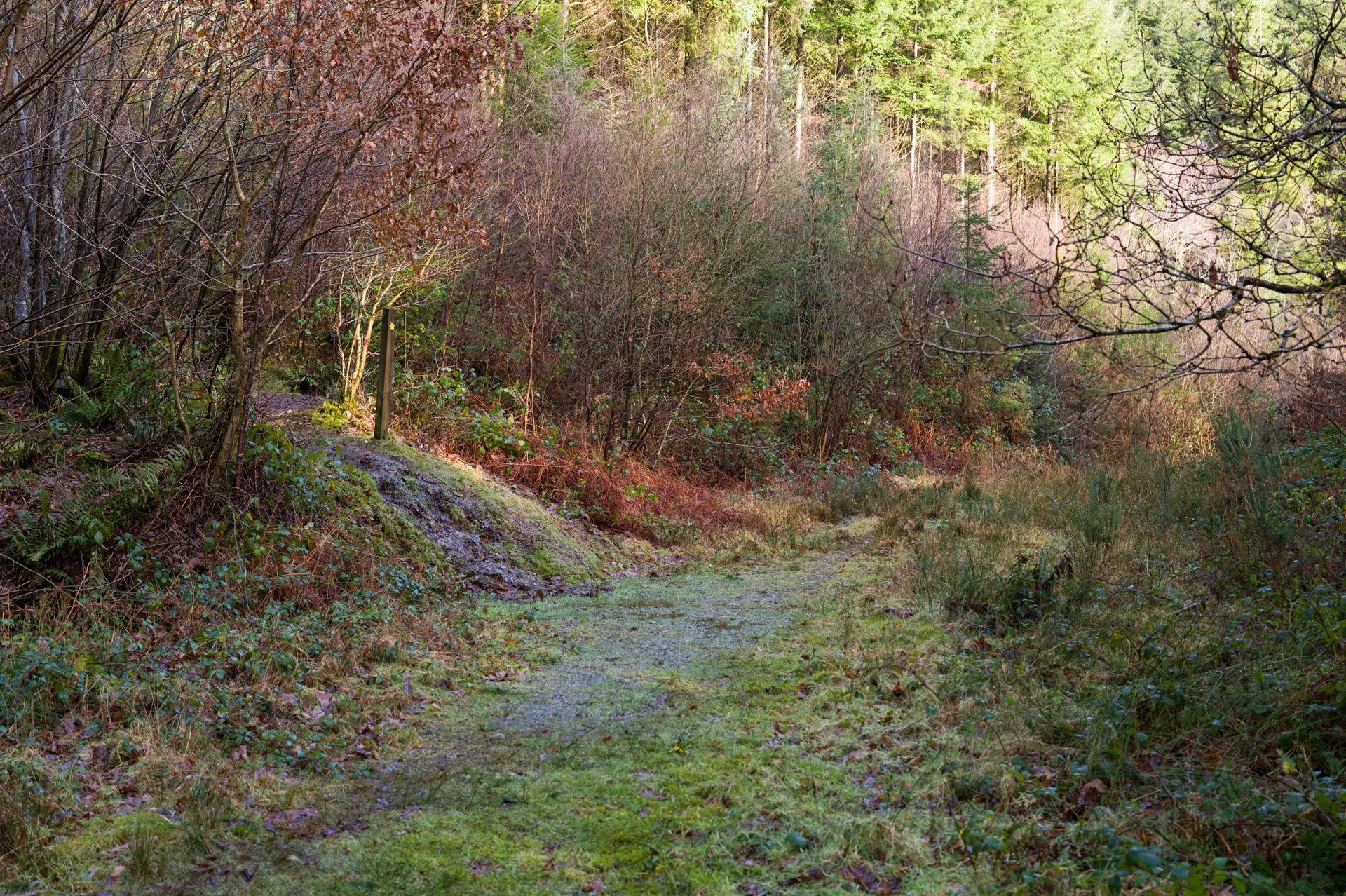 Breathtaking Views of the Mawddach Estuary – The New Precipice Walk ...