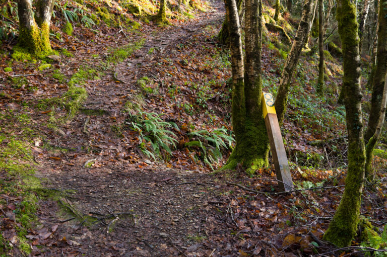Breathtaking Views of the Mawddach Estuary – The New Precipice Walk ...