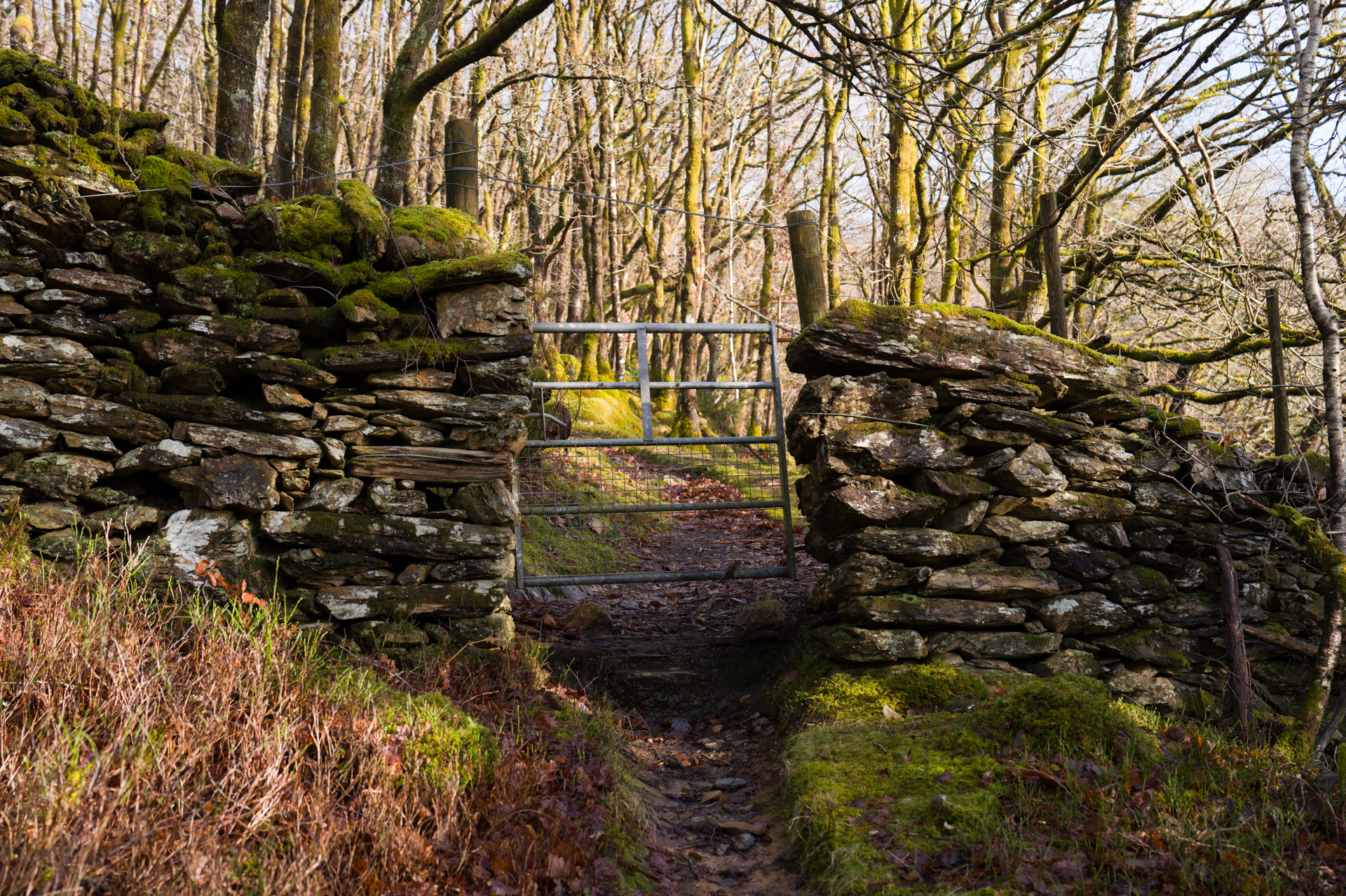 Breathtaking Views of the Mawddach Estuary – The New Precipice Walk ...