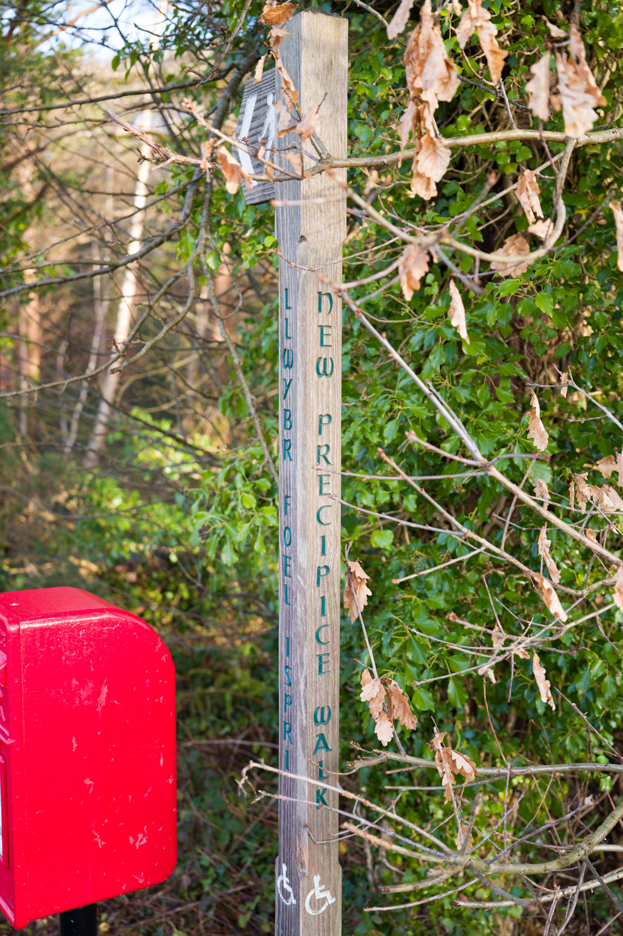 Breathtaking Views of the Mawddach Estuary – The New Precipice Walk ...