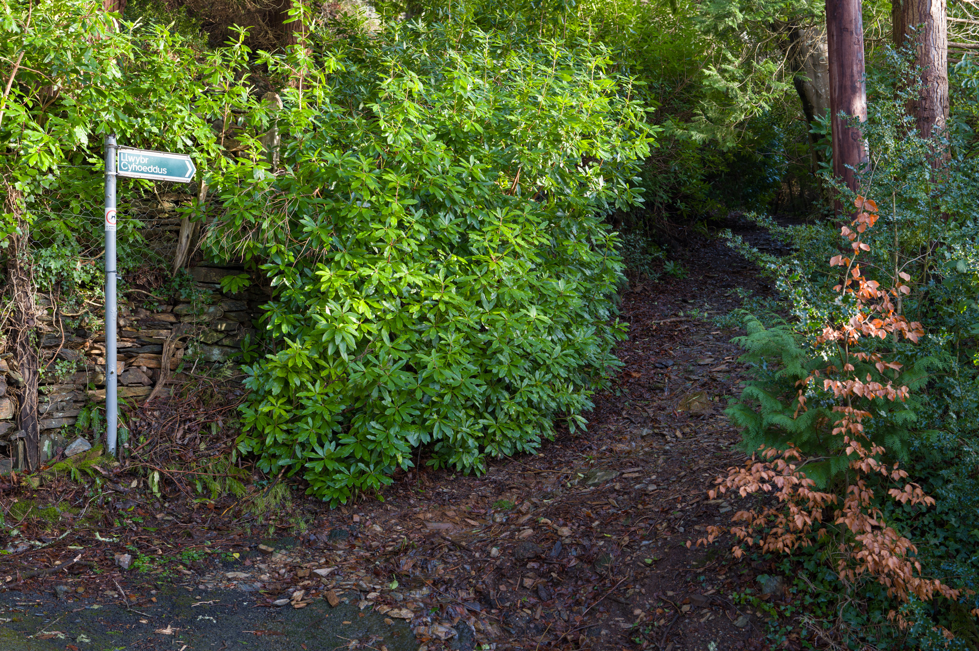 Breathtaking Views of the Mawddach Estuary – The New Precipice Walk ...