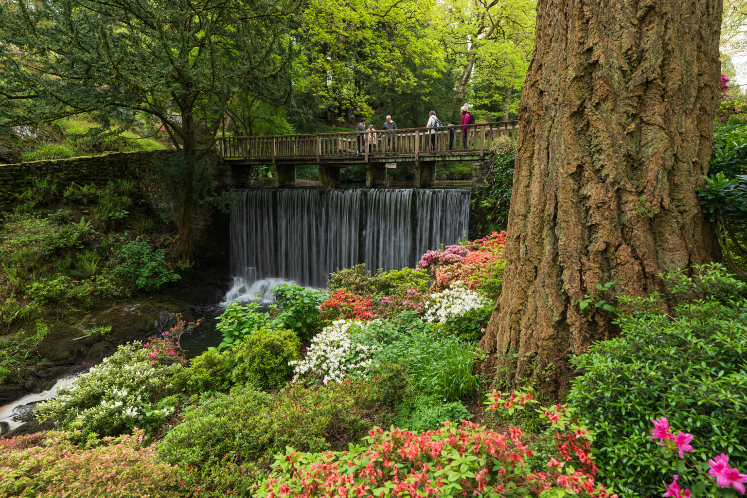 12 Gardens and Scenic Destinations to Explore in Wales This Spring - We ...
