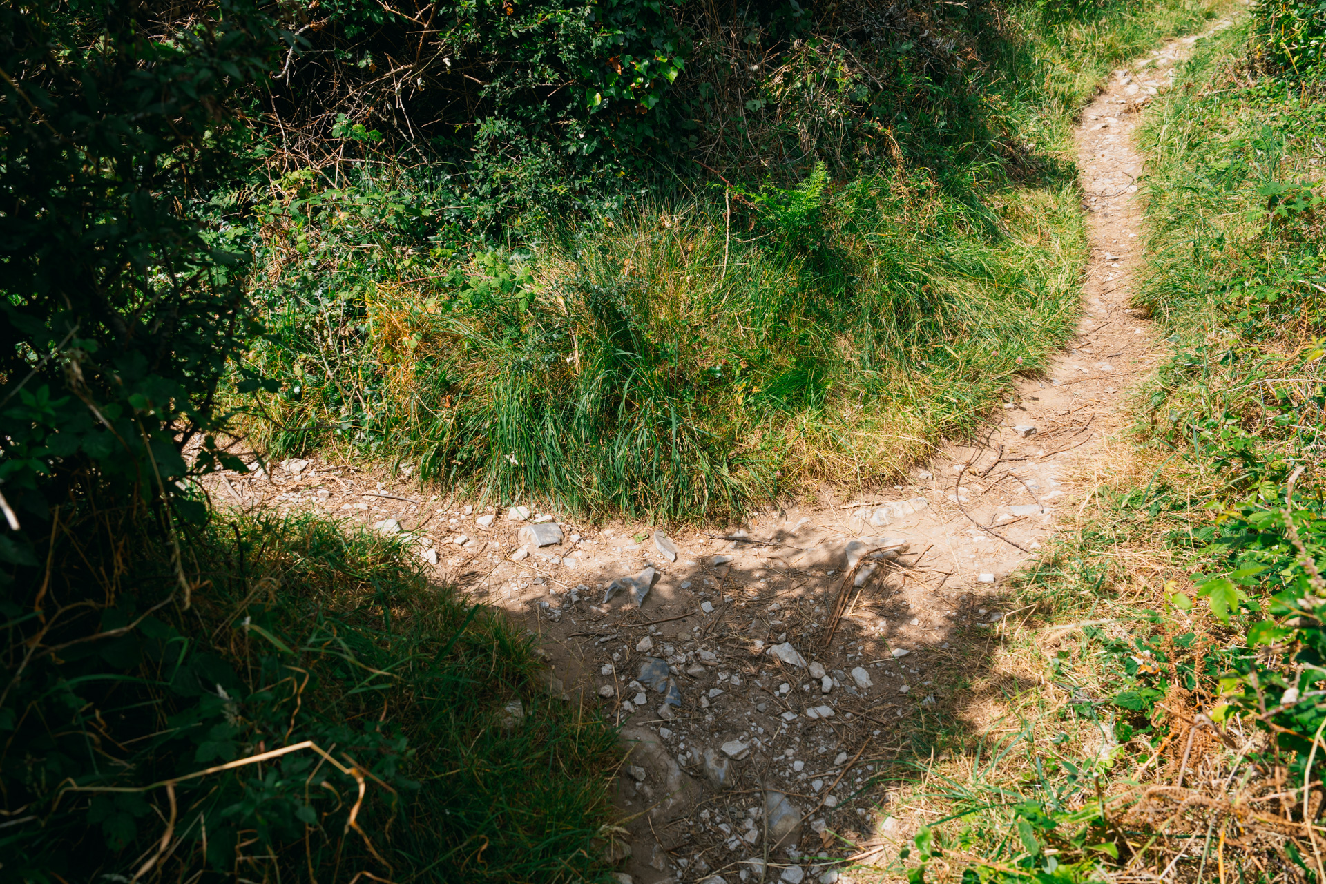 Discovering Culver Hole in the Gower (South Wales) – Location, History, and How to Find It - We ...