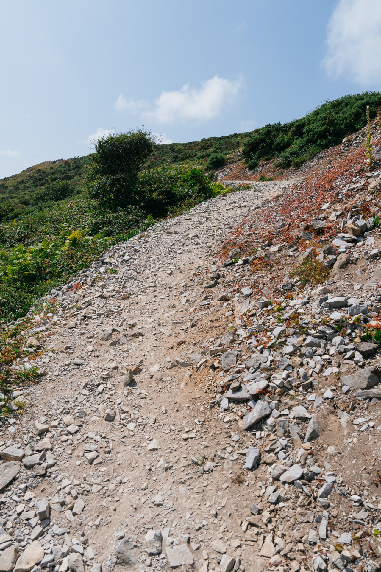 Discovering Culver Hole in the Gower (South Wales) – Location, History, and How to Find It - We ...