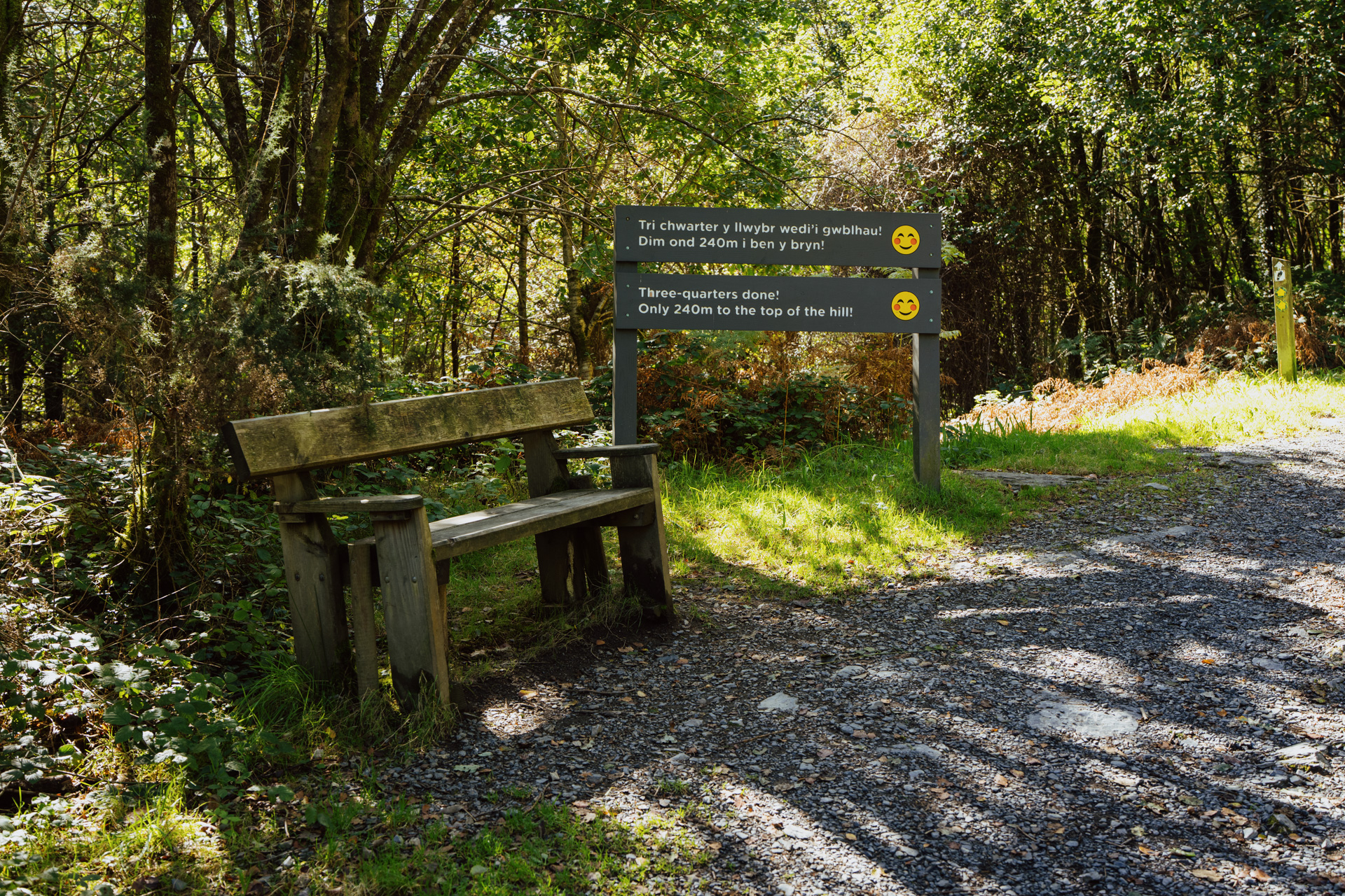 10 Things to Do in and Around Betws-y-Coed - We Travel Wales