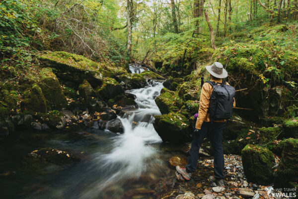 The Clogau Trail – Beauty, History, and a Hint of Gold - We Travel Wales